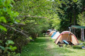 【CAMP HACKも出ます！】注目のキャンプフェス「FUJI&SUN」が今年も開催決定！！ | CAMP HACK[キャンプハック]