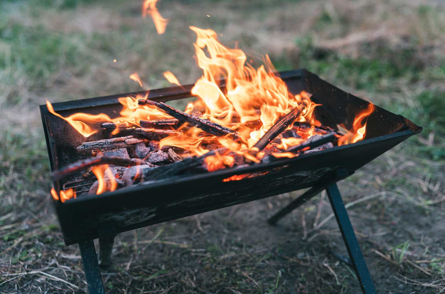 【DCMで発見】1,097円で買った「投げ込み調理器」を使ったら、焚き火の幸福度が上がったよ | CAMP HACK[キャンプハック]