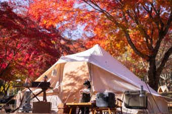 【すでに一部売り切れ】560Wで走行充電できるブルーティの新作「チャージャー1」登場！他メーカーにも使える可能性も | CAMP HACK[キャンプハック]